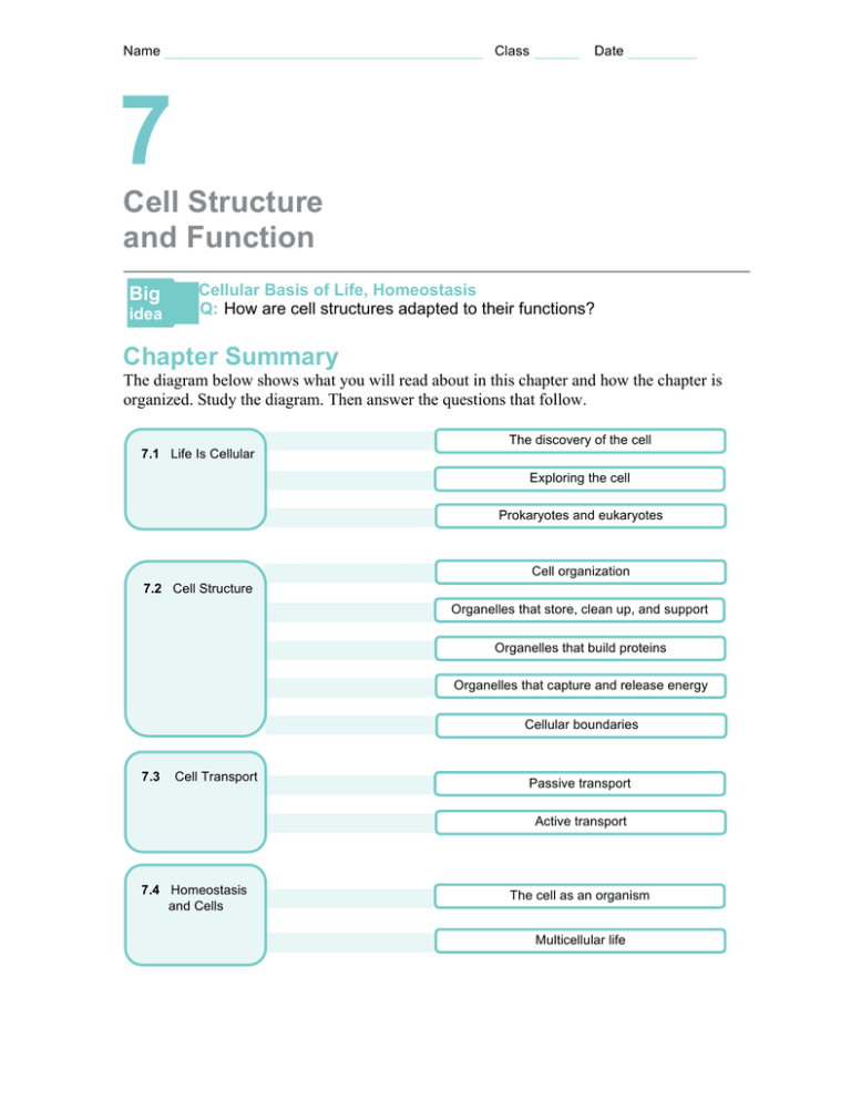 7 Cell Structure And Function 7-cell-structure-and-function