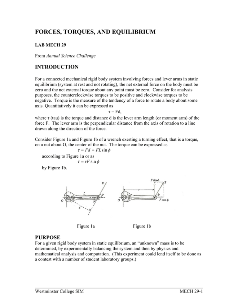 FORCES, TORQUES, AND EQUILIBRIUM INTRODUCTION