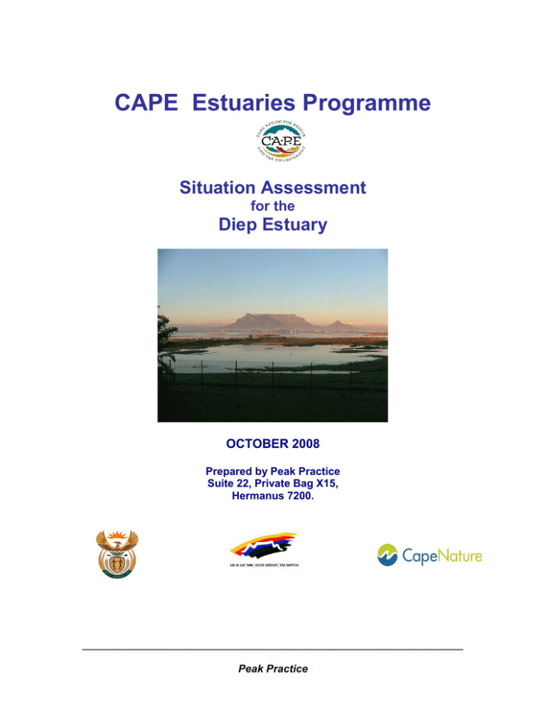 CAPE Estuaries Programme Situation Assessment Diep Estuary