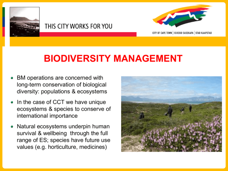 Biodiversity Management in Cape Town: Conservation & Planning
