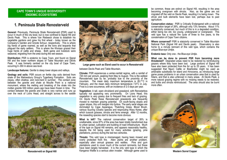 CAPE TOWN’S UNIQUE BIODIVERSITY