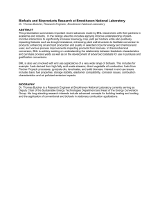 BASF ChemCycling LCA Study- Germany