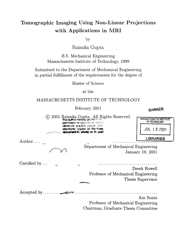 Tomographic Imaging Using Non Linear Projections