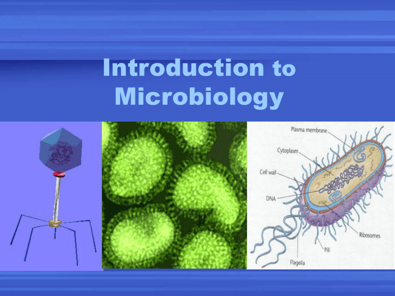 Introduction Microbiology to