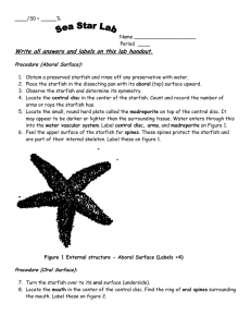 Starfish Dissection