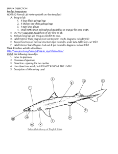 Lab Report Cover Sheet for Dogfish Shark Dissection