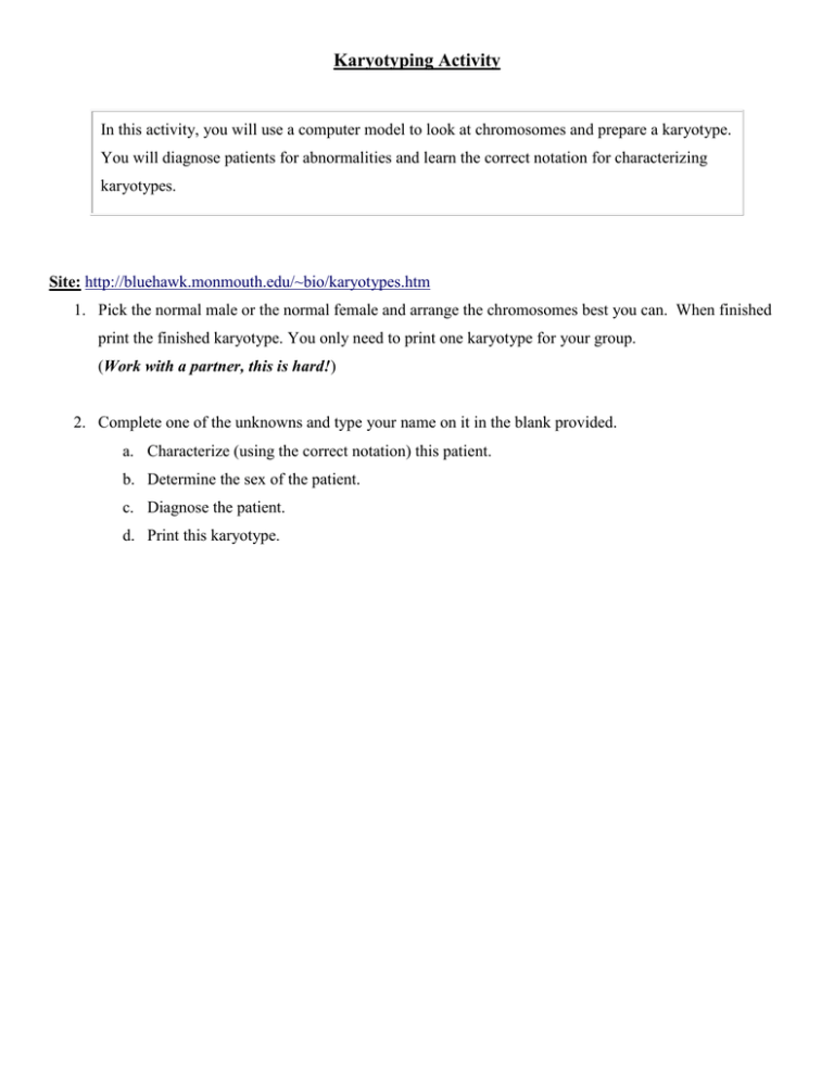 Karyotyping Activity: Chromosome Analysis Worksheet