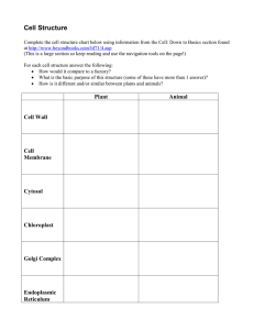 color-by-number-cell