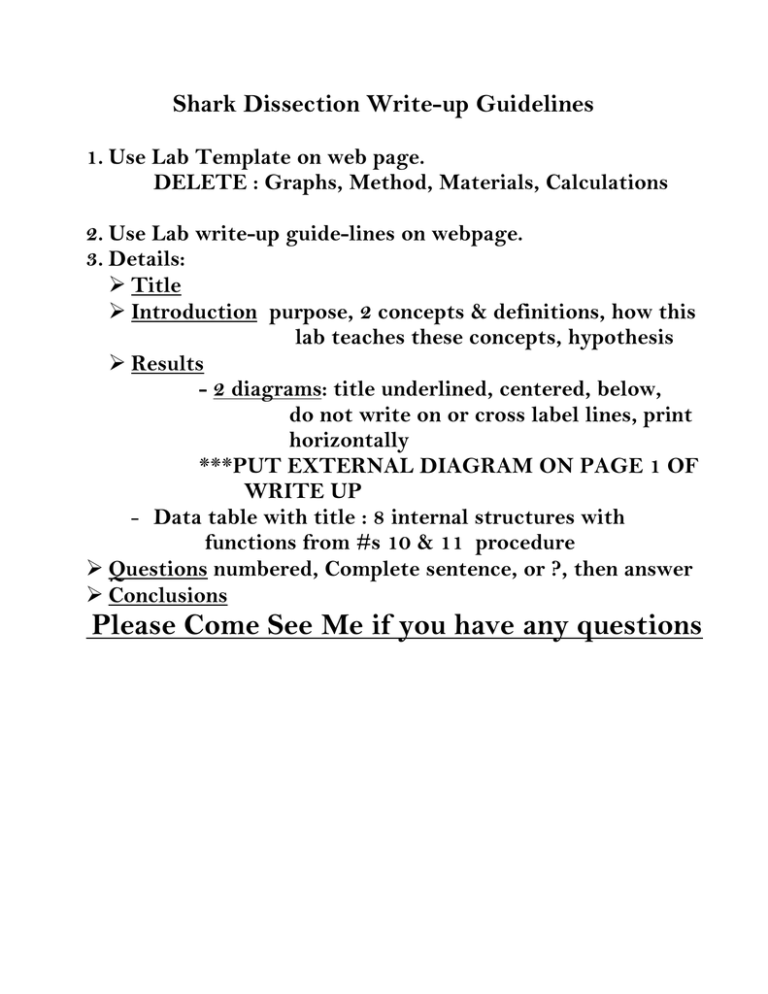 Shark Dissection Lab Report Guidelines