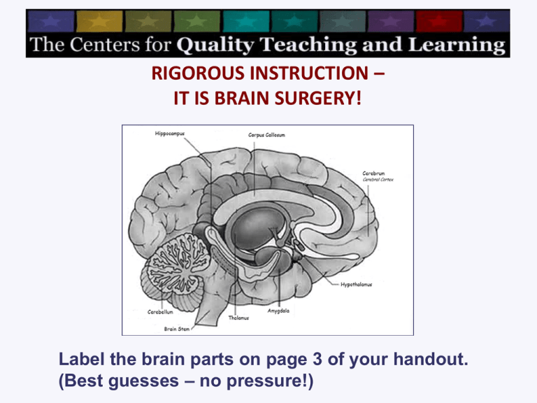 RIGOROUS INSTRUCTION – IT IS BRAIN SURGERY!