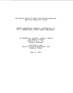 BASF ChemCycling LCA Study- Germany