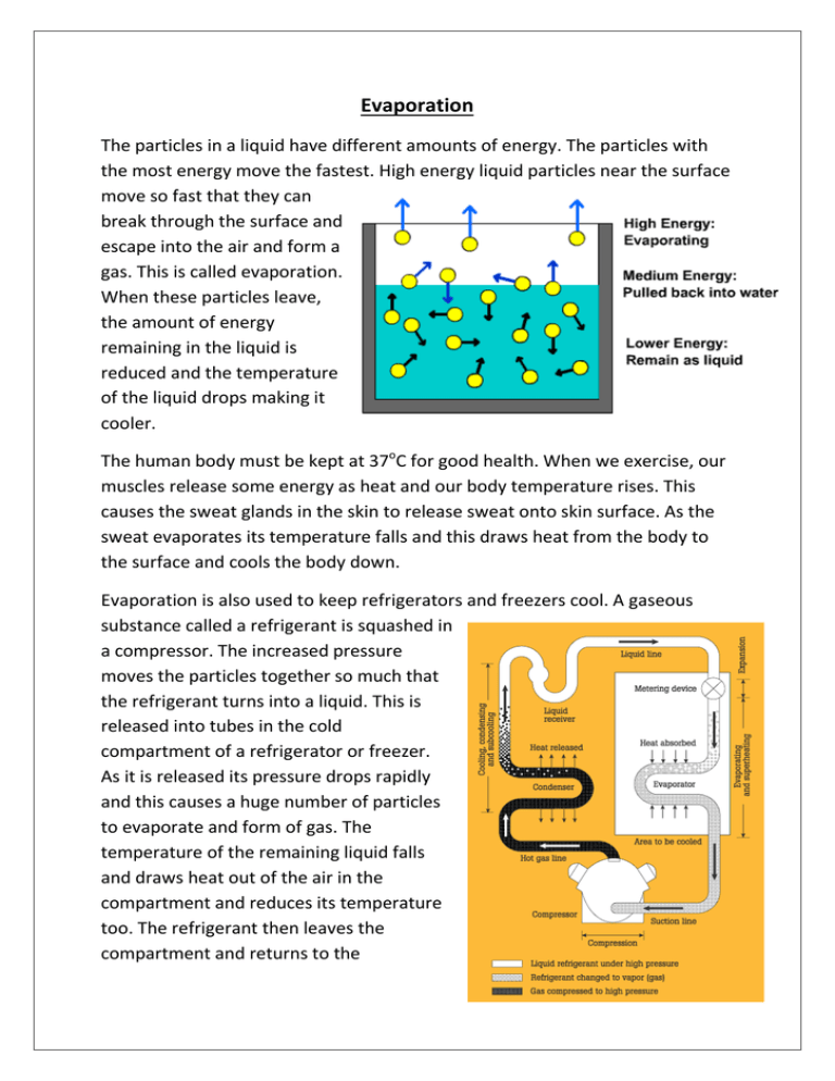 Evaporation: Science Worksheet for Students