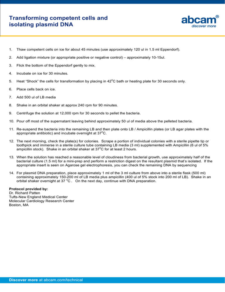 Transforming competent cells and isolating plasmid DNA