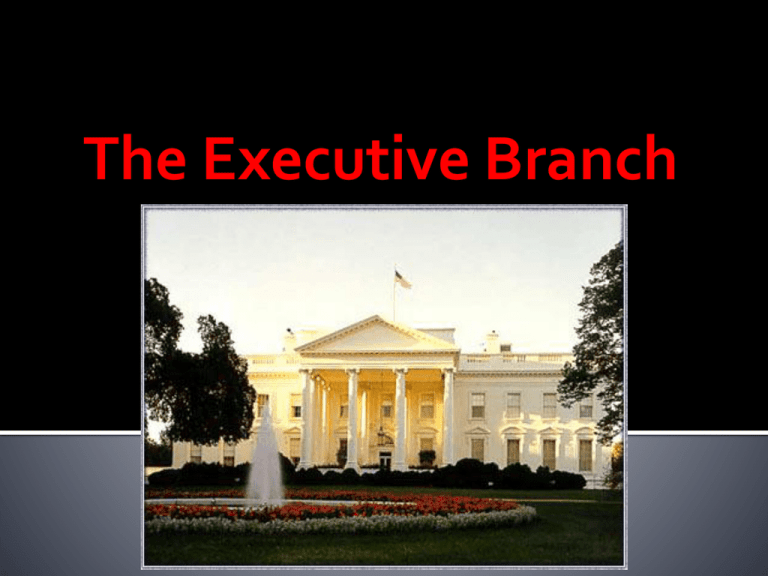 The Executive Branch