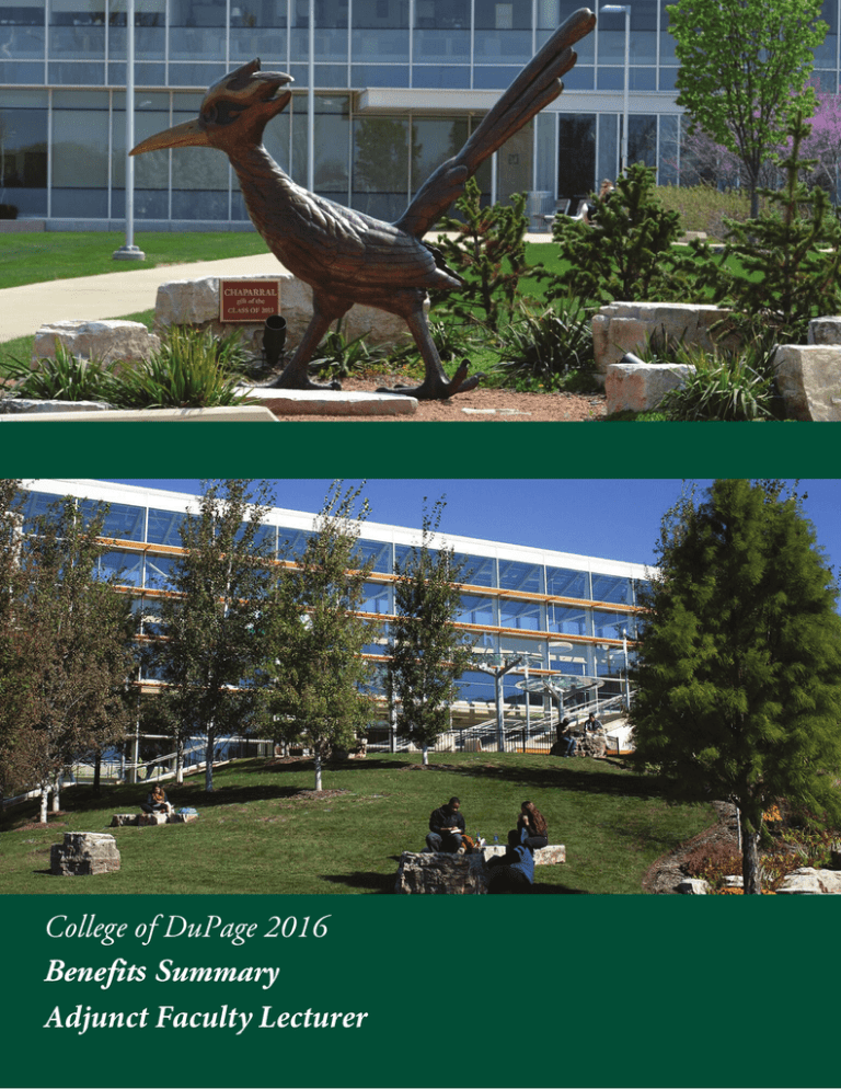 College of DuPage s Summary Benefit