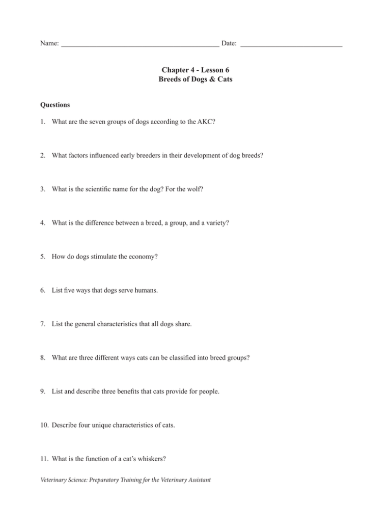Dog & Cat Breeds Worksheet: Veterinary Science