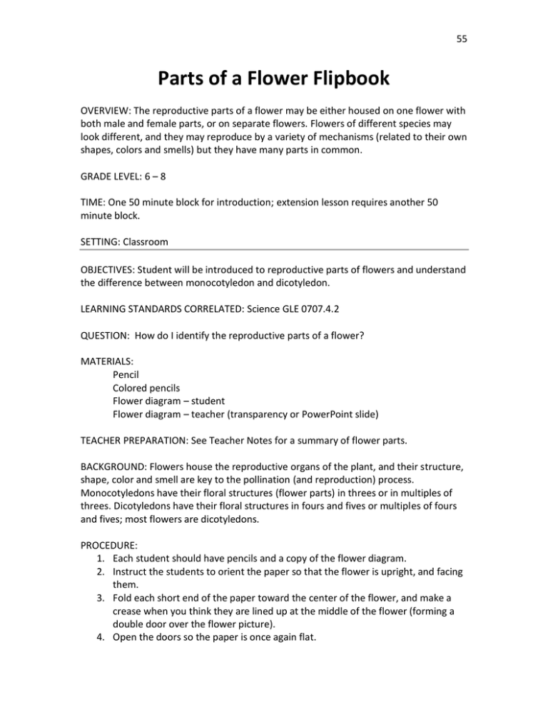 Parts of a Flower Flipbook