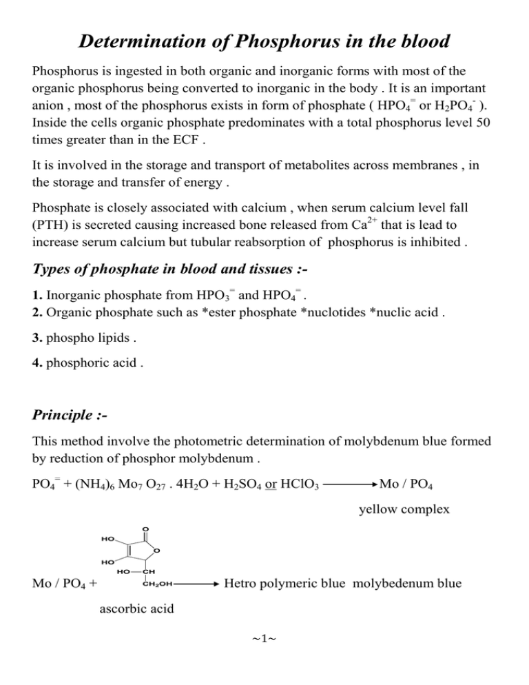 Phosphorus Determination in Blood: Biochemistry Guide