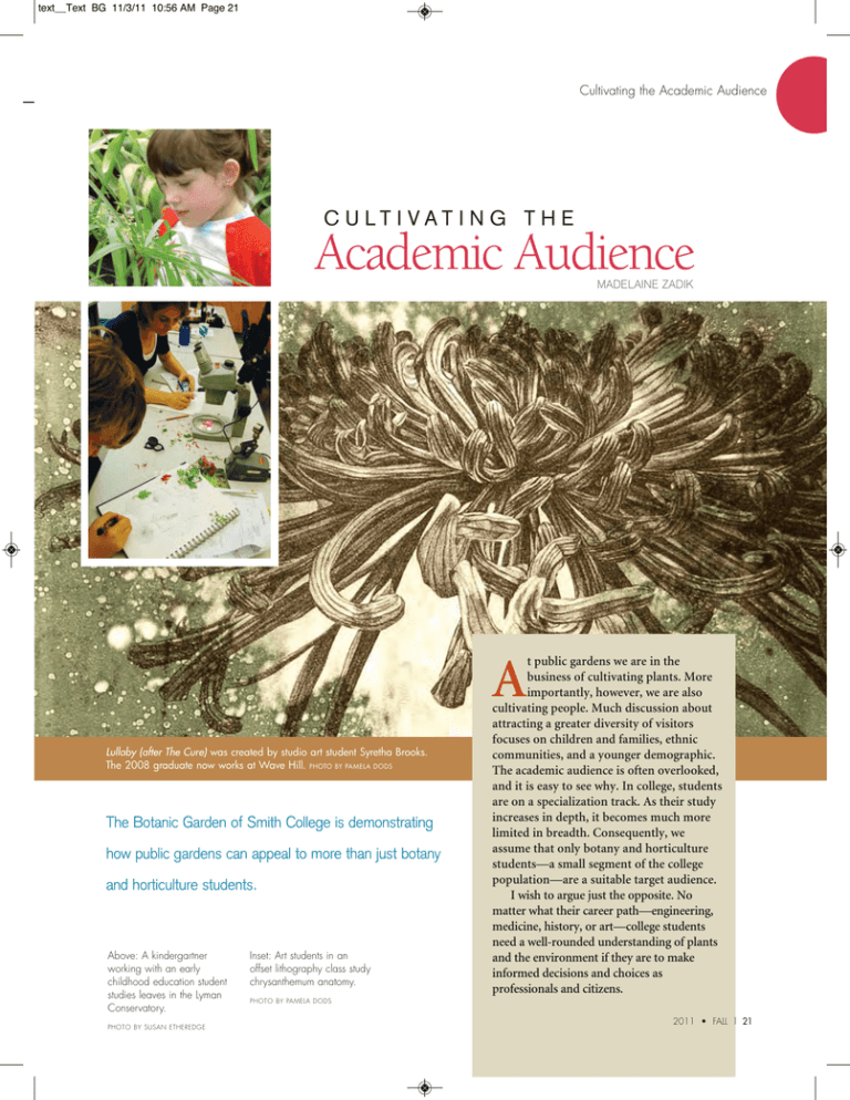 A Academic Audience