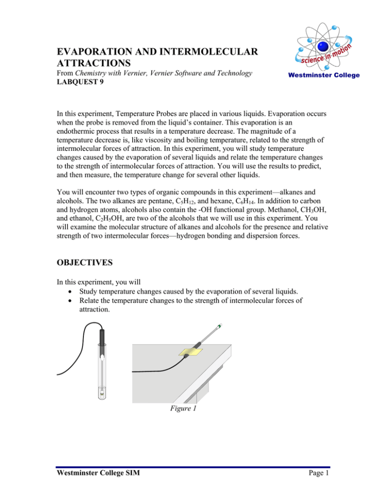 Evaporation & Intermolecular Forces Lab Experiment