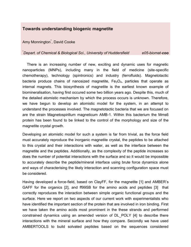 Towards understanding biogenic magnetite