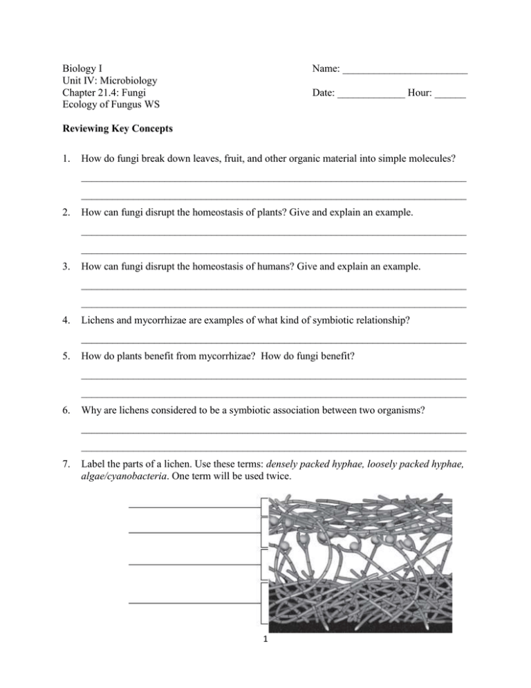 Fungi Ecology Worksheet: Symbiosis & Decomposition