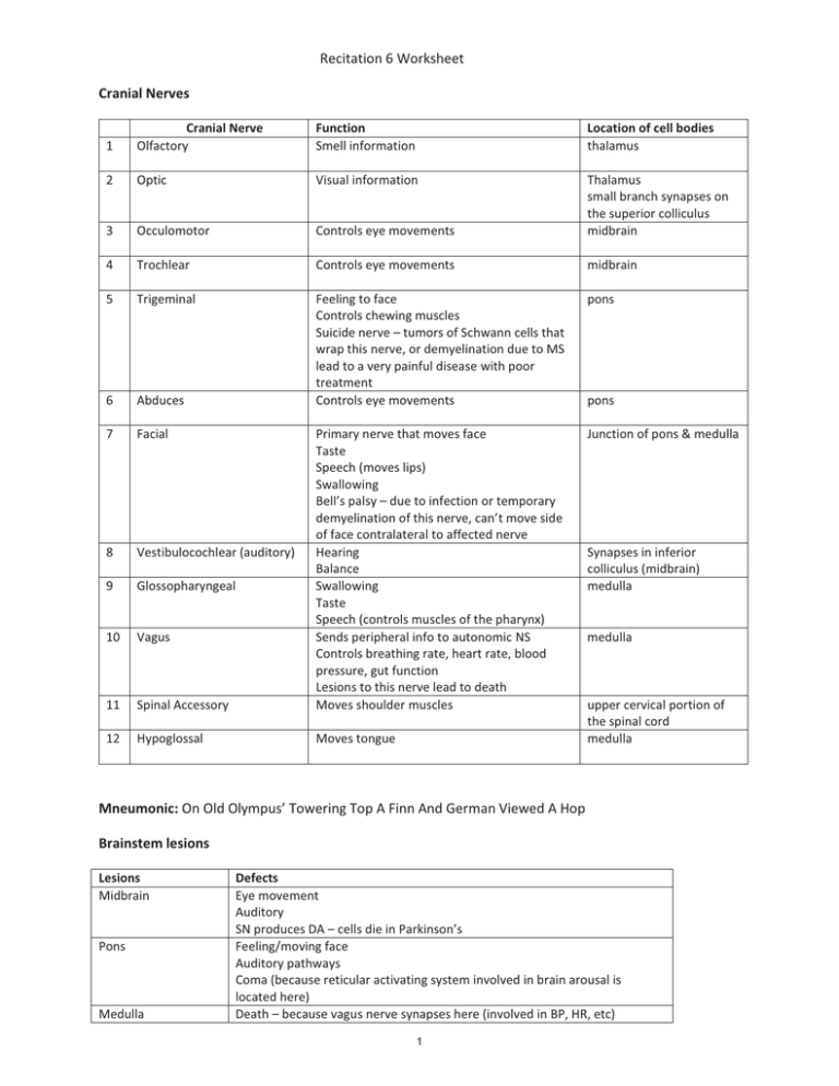 Recitation 6 Worksheet Cranial Nerves