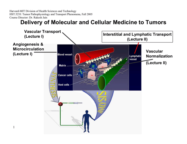 Harvard-MIT Division of Health Sciences and Technology