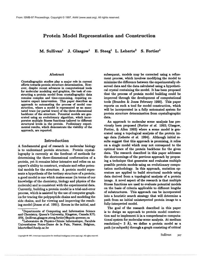 Protein Model Representation and Construction