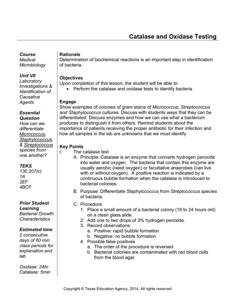 Catalase & Oxidase Testing: Lab Investigation