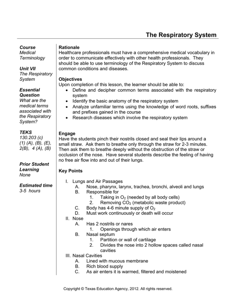 Respiratory System: Medical Terminology Course Material