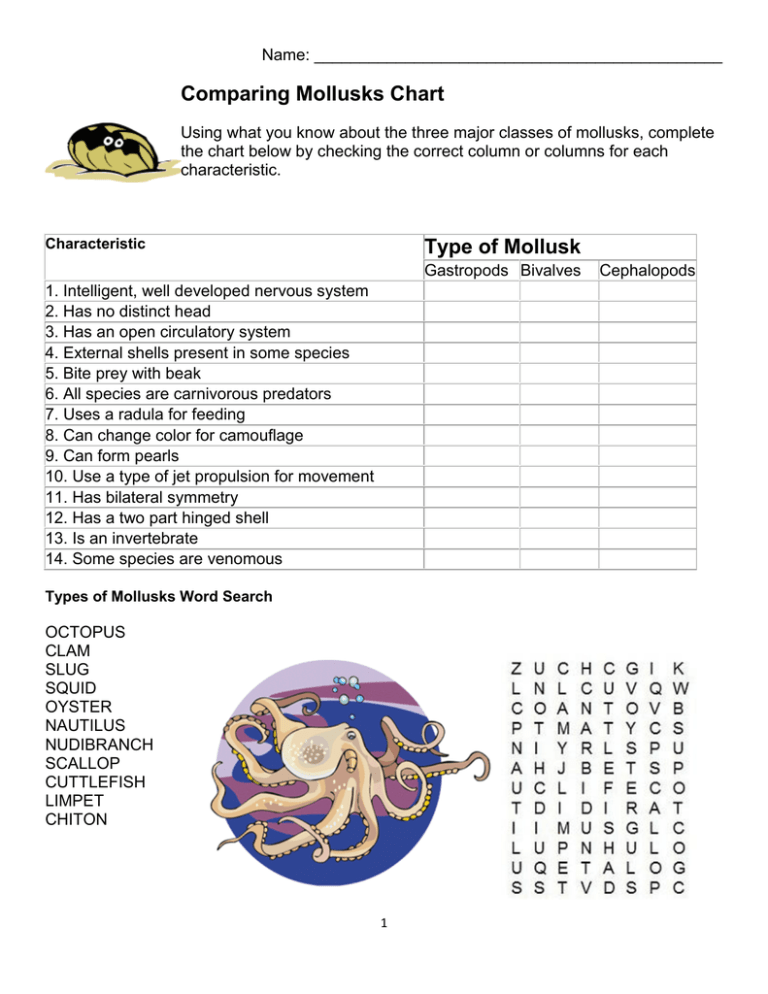 Mollusk Classification Worksheet: Gastropods, Bivalves, Cephalopods