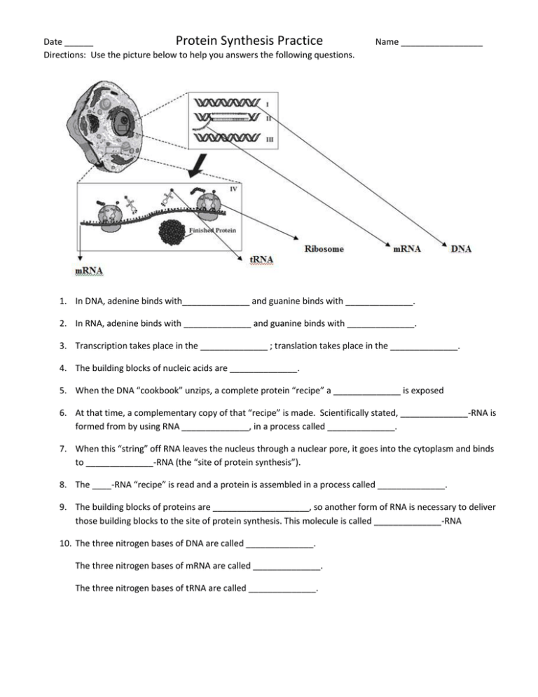 Protein Synthesis Practice Worksheet