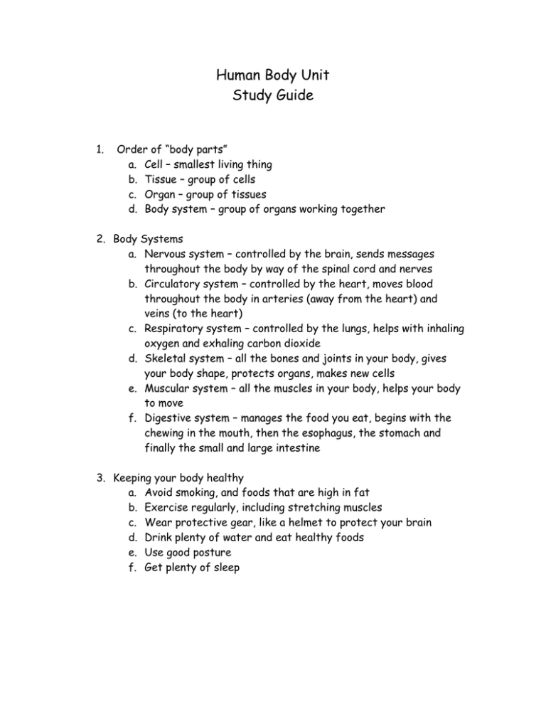 Human Body Unit Study Guide