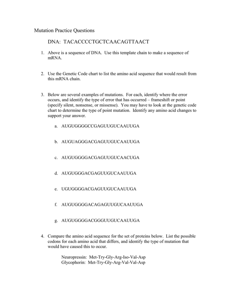 DNA Mutation Practice Questions