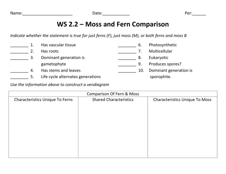Moss vs. Fern Comparison Worksheet
