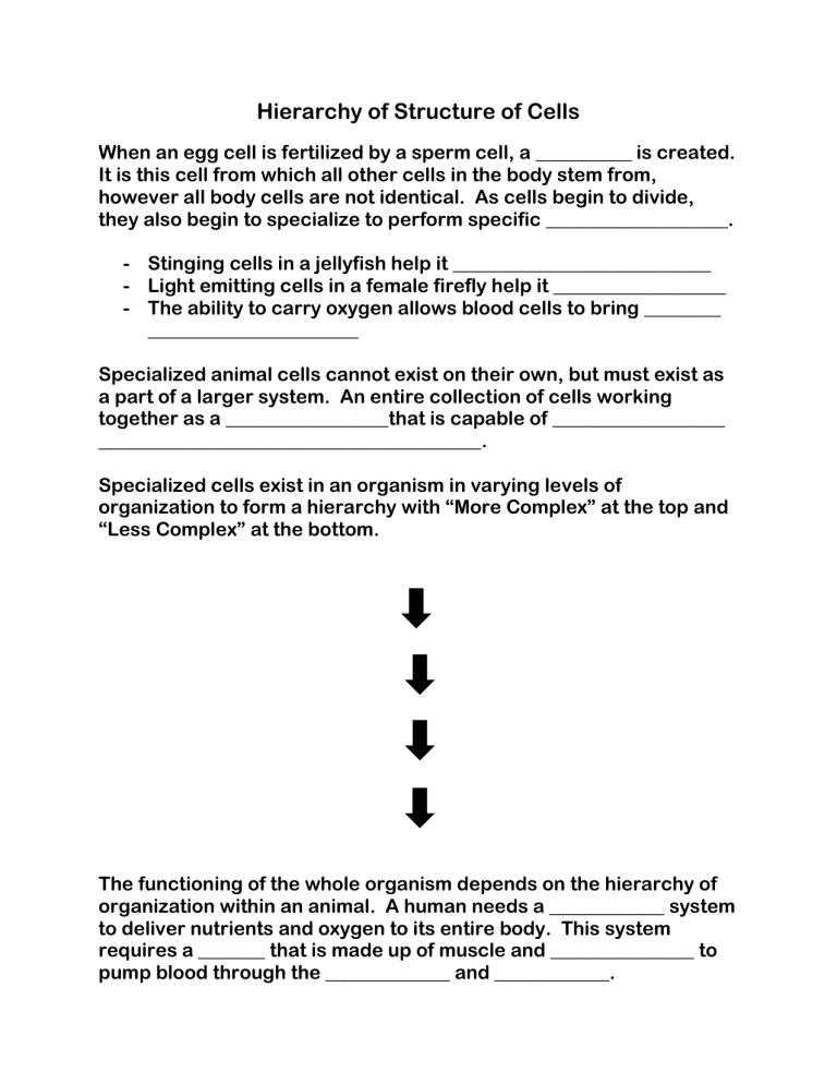 Hierarchy of Structure of Cells
