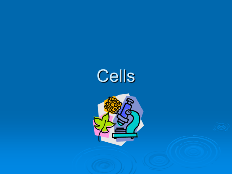 Cells