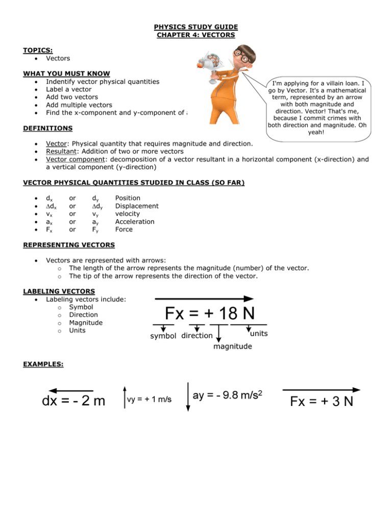 Physics Vectors Study Guide: Chapter 4