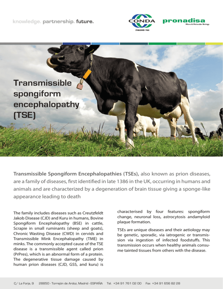 Transmissible Spongiform Encephalopathies (TSEs) & BSE