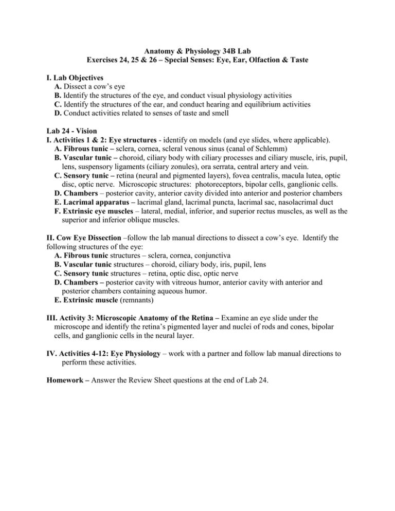 Anatomy & Physiology: Special Senses Lab Exercises