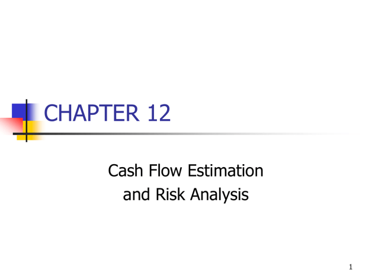 Cash Flow Estimation & Risk Analysis Presentation
