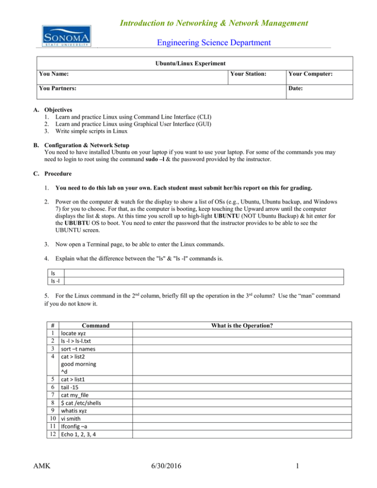 Linux Networking Lab: Ubuntu Command Line & Scripting