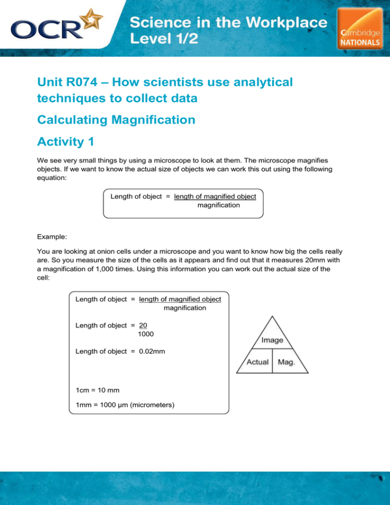 Microscope Magnification Worksheet: Calculate Size & Power