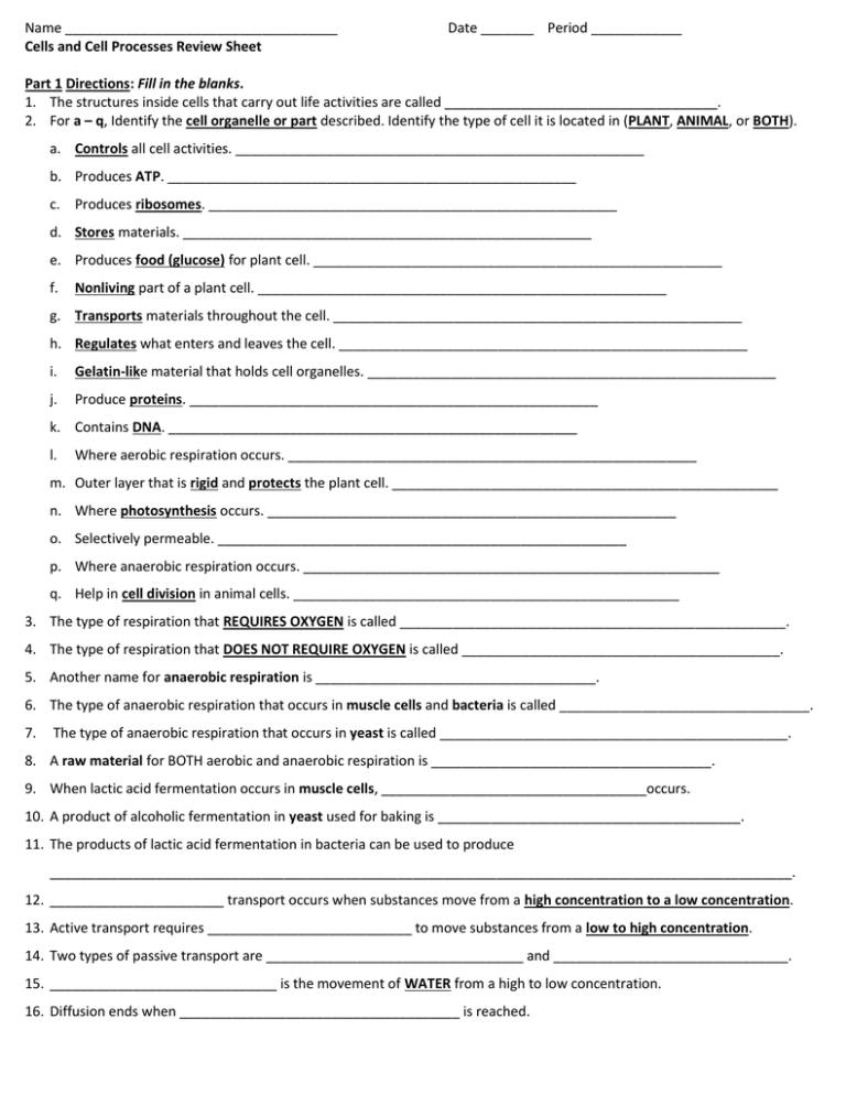 Cells & Cell Processes Review Sheet - Biology