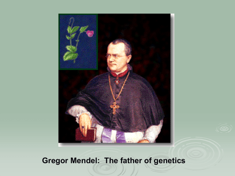 Mendelian Genetics: Gregor Mendel's Principles