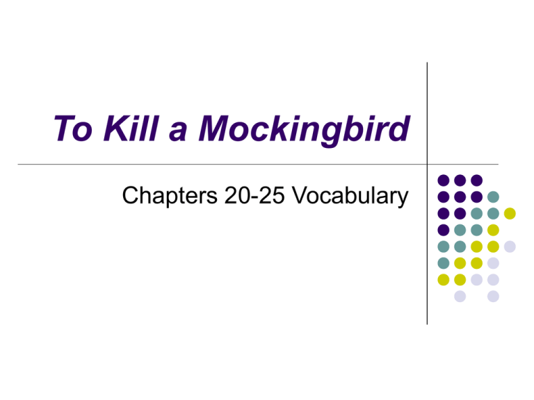 To Kill a Mockingbird Vocabulary: Chapters 20-25