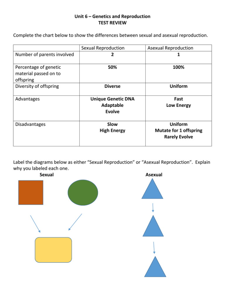 Genetics & Reproduction Test Review: Sexual vs. Asexual
