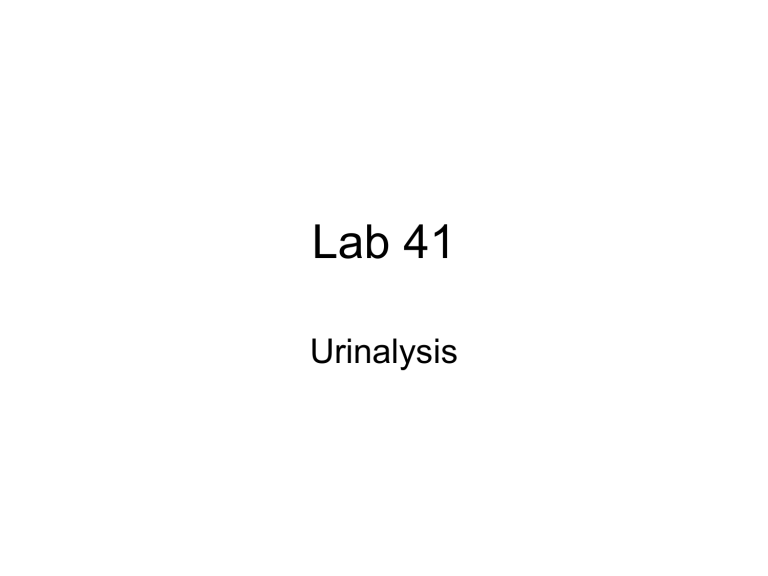 Urinalysis Lab: Procedure, Tests, and Analysis