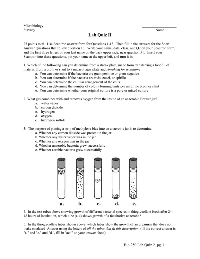 Microbiology Lab Quiz: Bacterial Culture & Growth